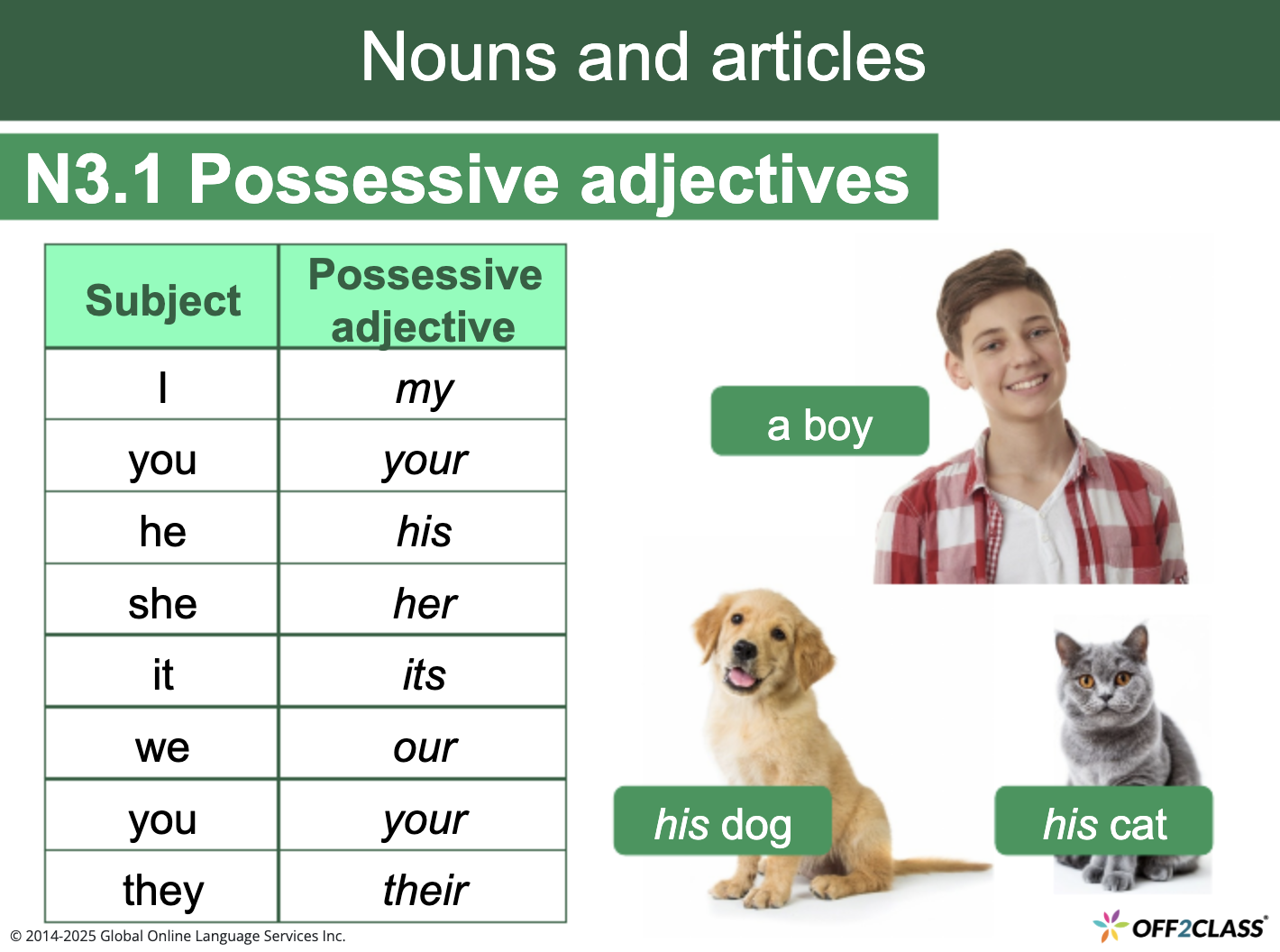 Possessive Adjectives Lesson Plan [Updated 2025] - Off2Class
