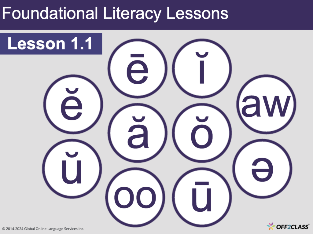 A Free Lesson in Literacy